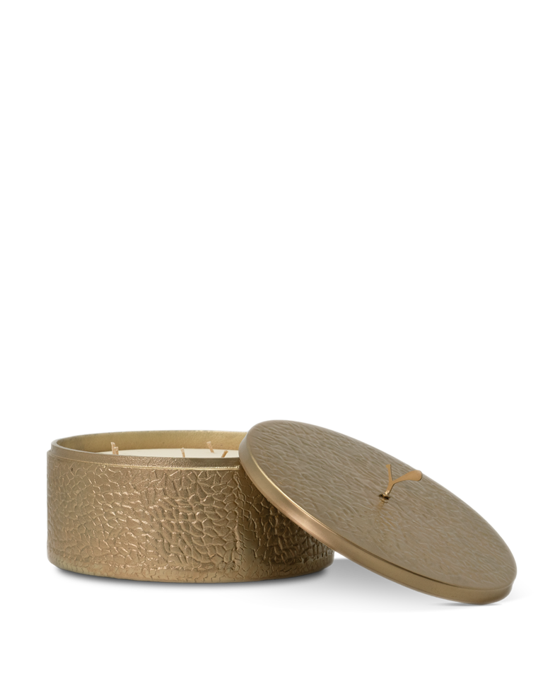 luxe 6-wick candle, Moody Gold ~ spry scents